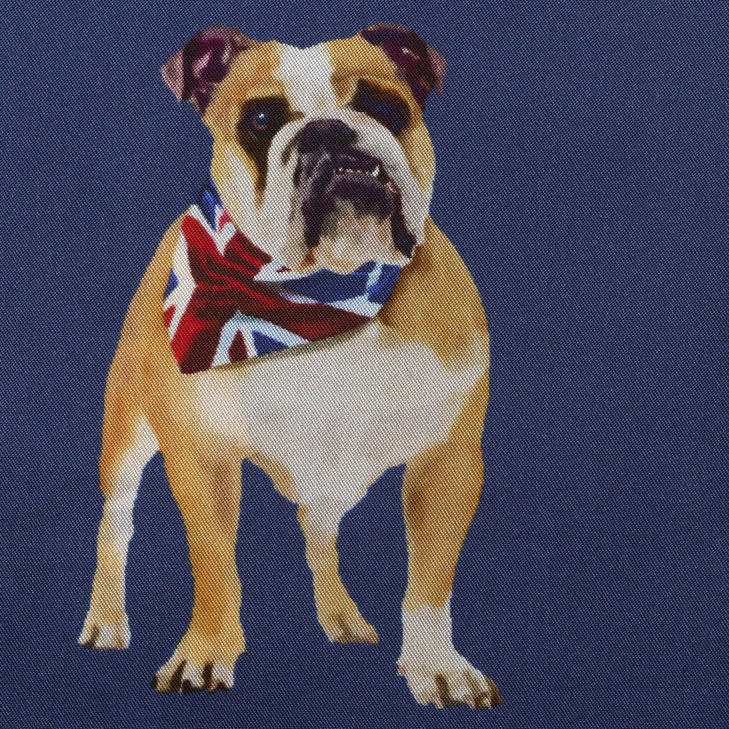 NAVY BULLDOG 100% VISCOSE - Harrisons