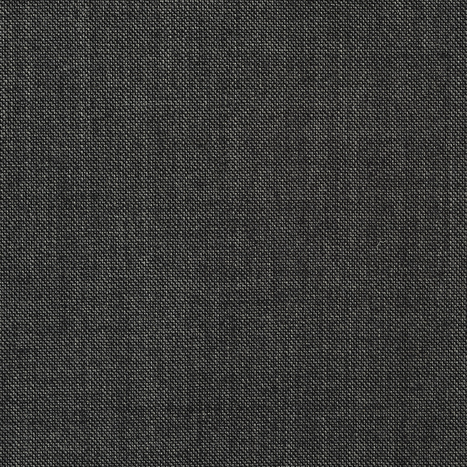 OYSTER ALL WOOL - Harrisons