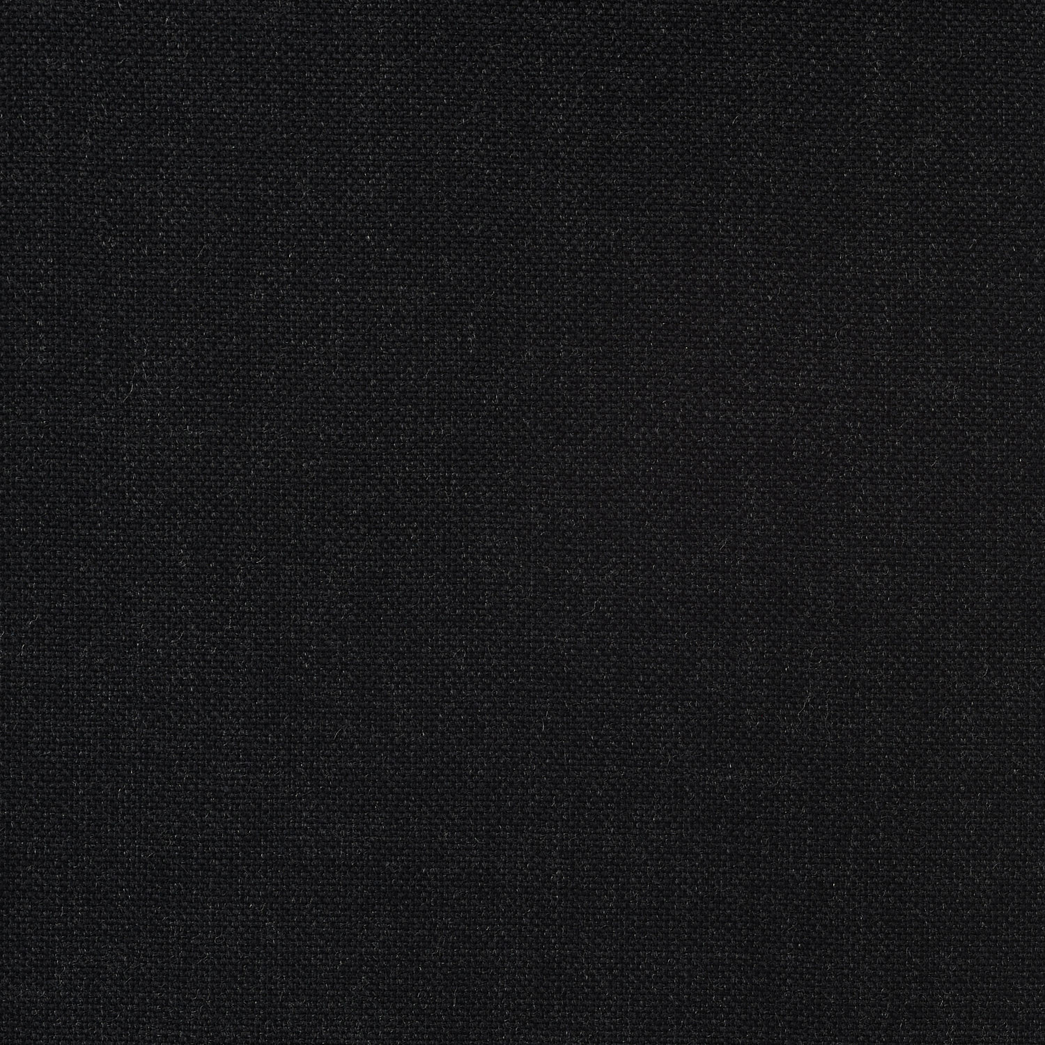 OYSTER ALL WOOL - Harrisons